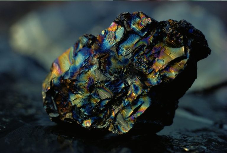 Coal Price Today: Live Rates, Charts & Top Market Guide 2026
